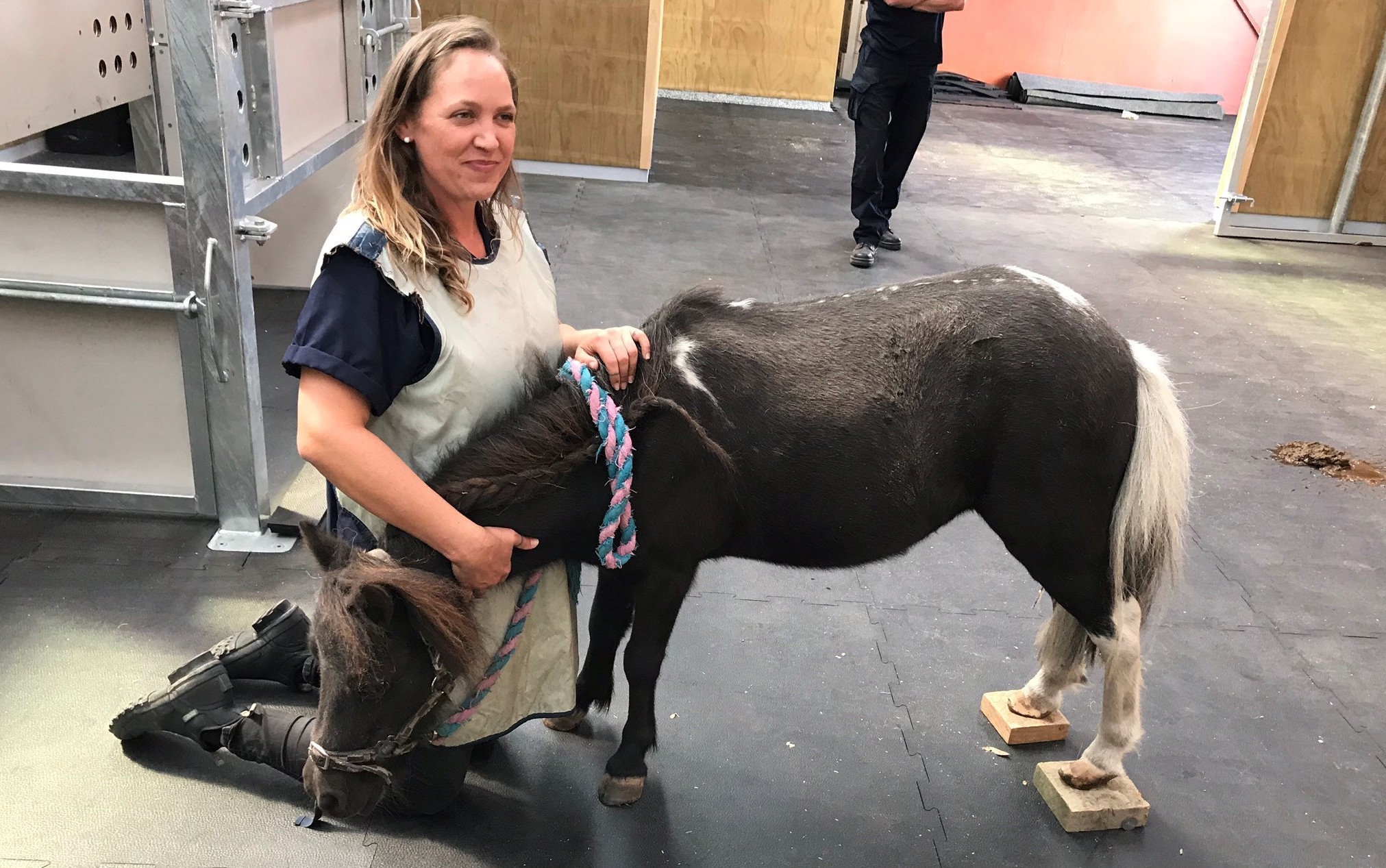 5 Minutes with SPCA’s Rachel Sumner – KimberleyCrossman.com