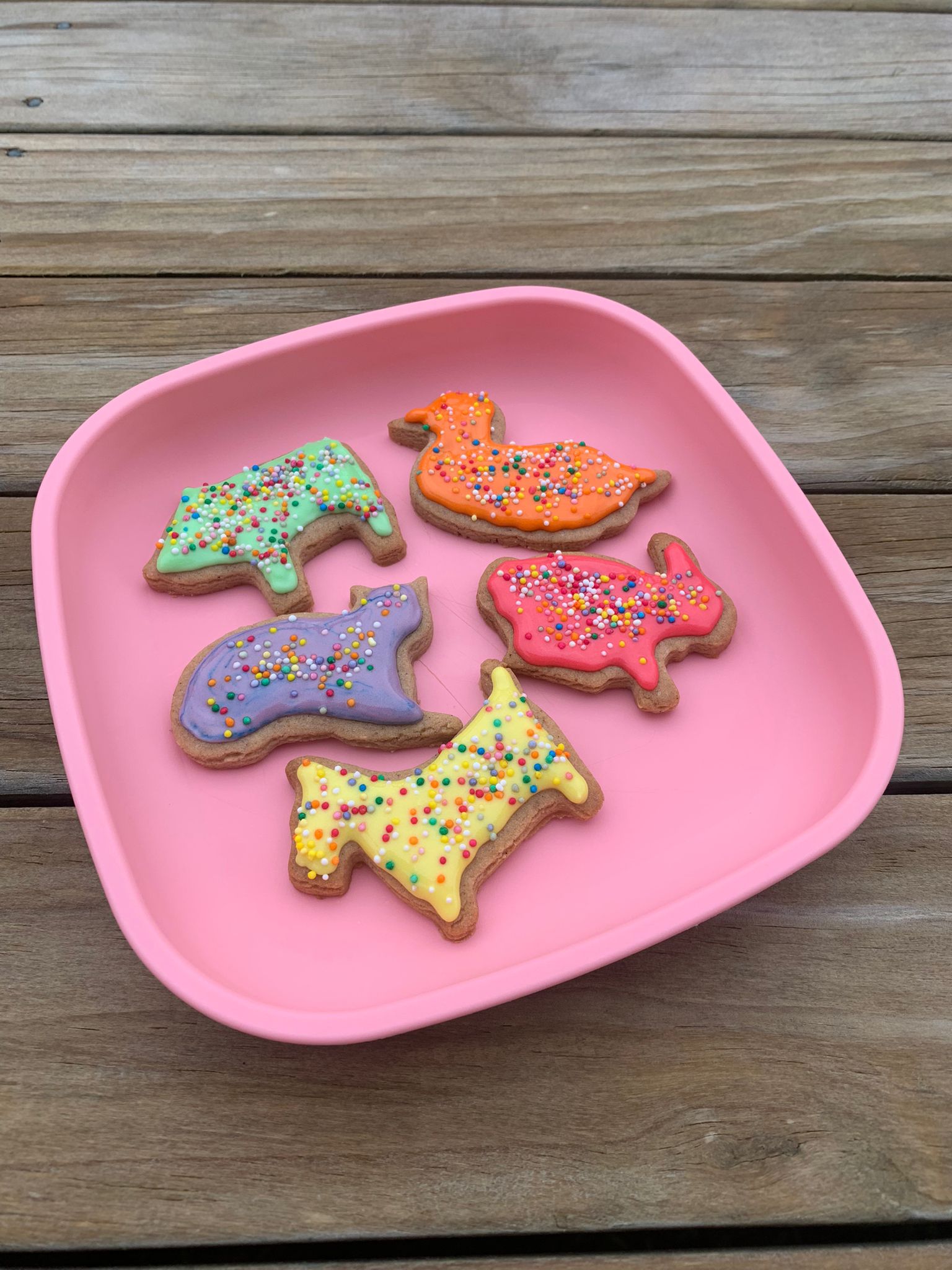 SPCA Treat Week – Animal Biscuits – KimberleyCrossman.com
