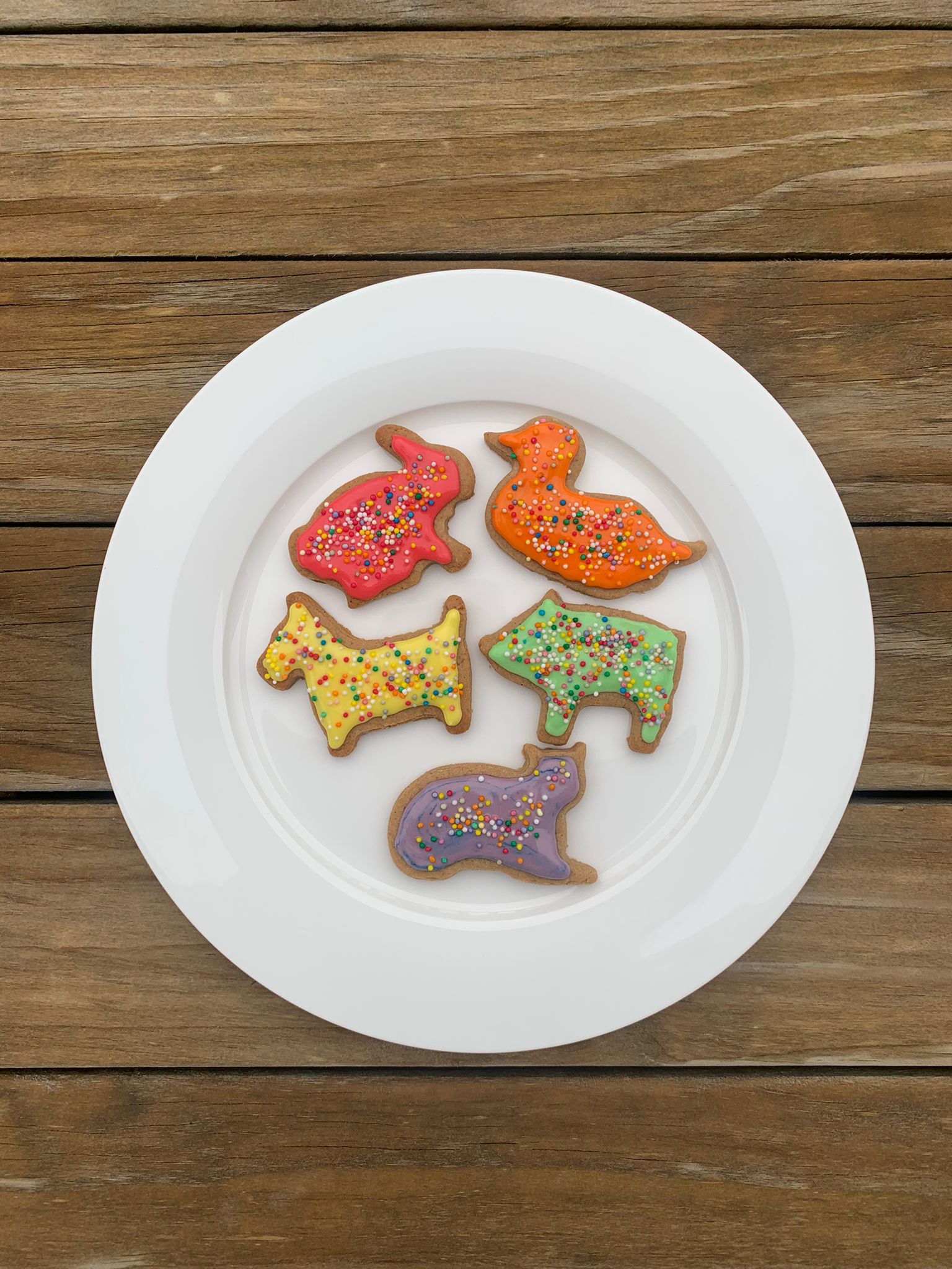SPCA Treat Week – Animal Biscuits – KimberleyCrossman.com